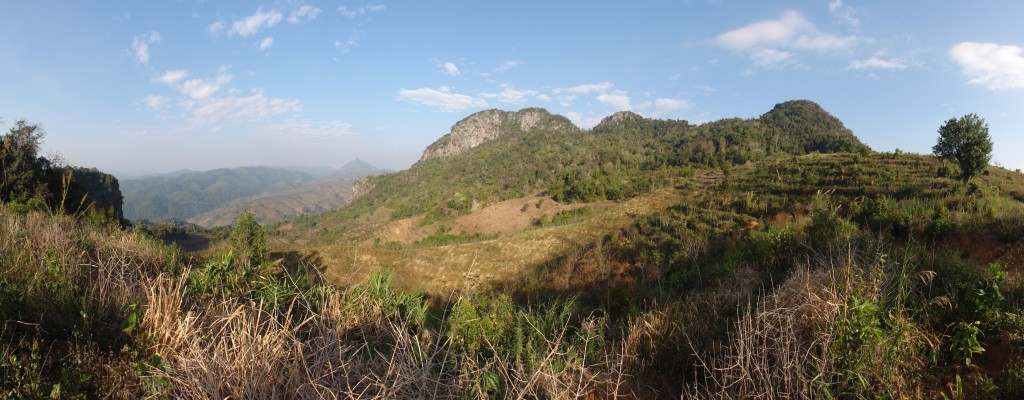 Landscape fragmentation effects on biodiversity | Community Ecology ...